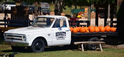 Heflin’s Bennett Farms offers plenty of attractions for some autumn fun ...