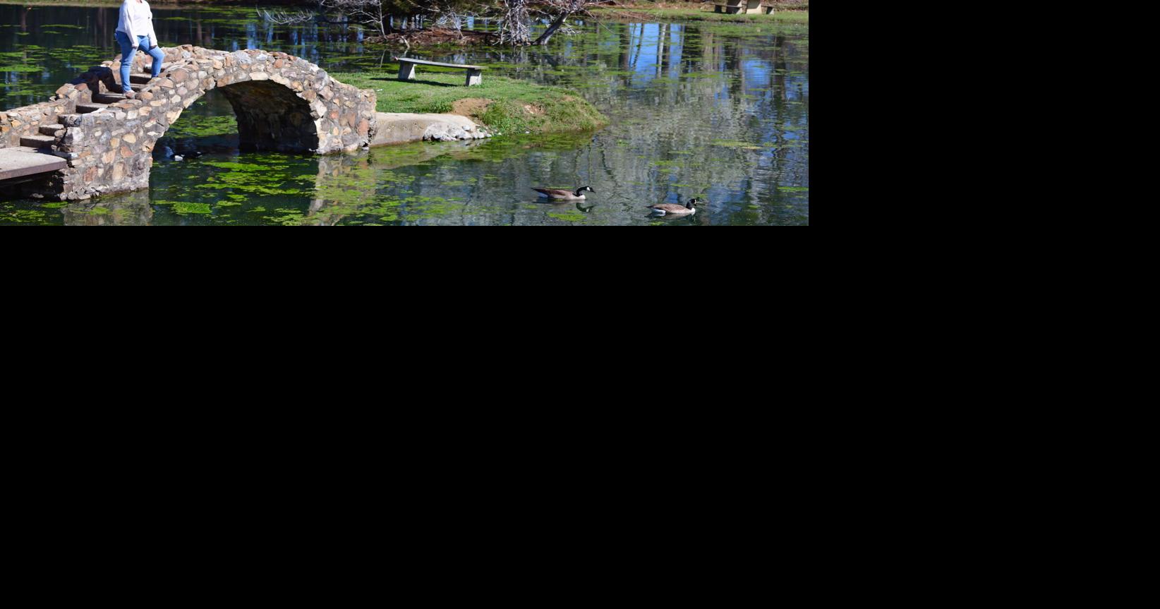 Spring has sprung at McClellan Duck Pond | Free | annistonstar.com
