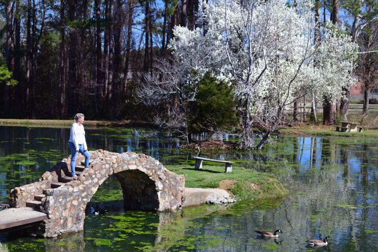 Spring has sprung at McClellan Duck Pond | Free | annistonstar.com