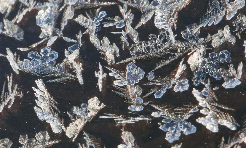 Ice Forms | News | annistonstar.com