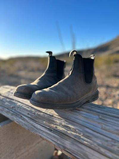 Lisa Davis: By the bootstraps | Free | annistonstar.com