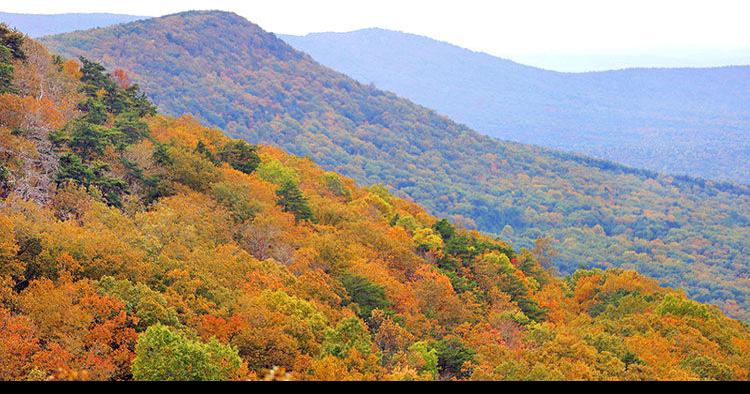 Photos: Fall Color on Cheaha Mountain | Features | annistonstar.com