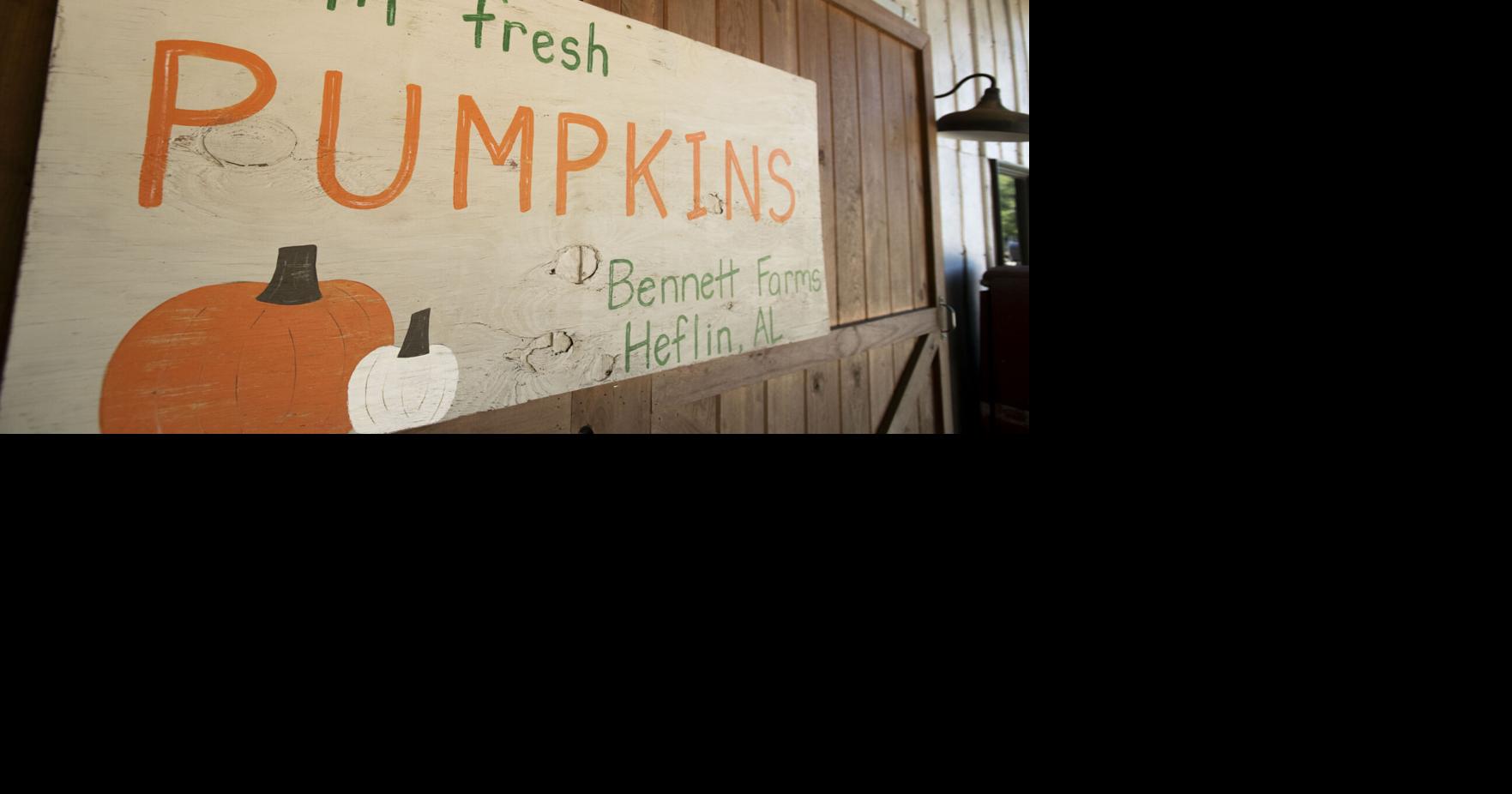 At Bennett Farms, when they're not running cattle, they're growing ...