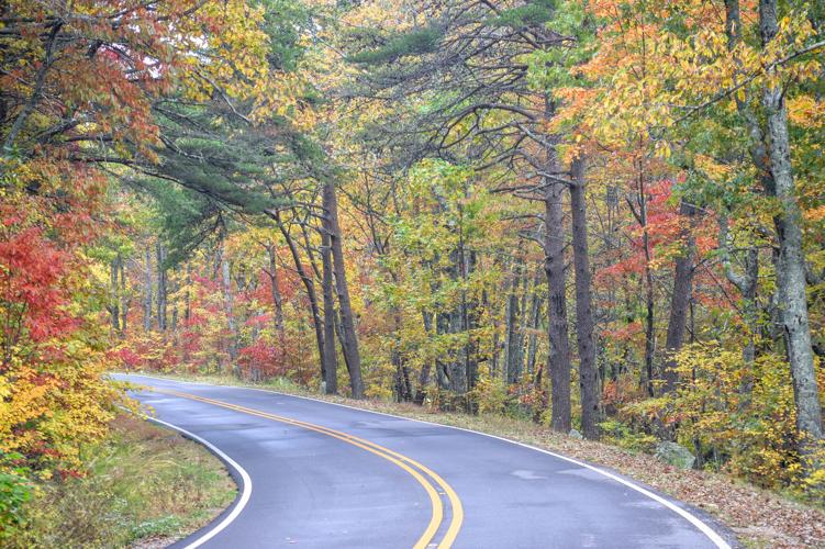 Talladega Scenic Drive voted number one best fall foliage | Local News ...