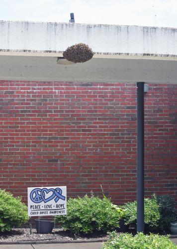 Photo gallery: A bee hive at the Calhoun County Sheriff's Office ...