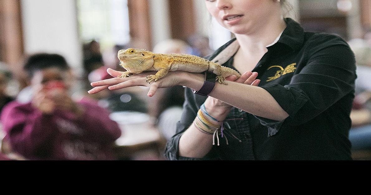 Exotic animal show at Talladega College 2018 (photos) | Slideshows ...