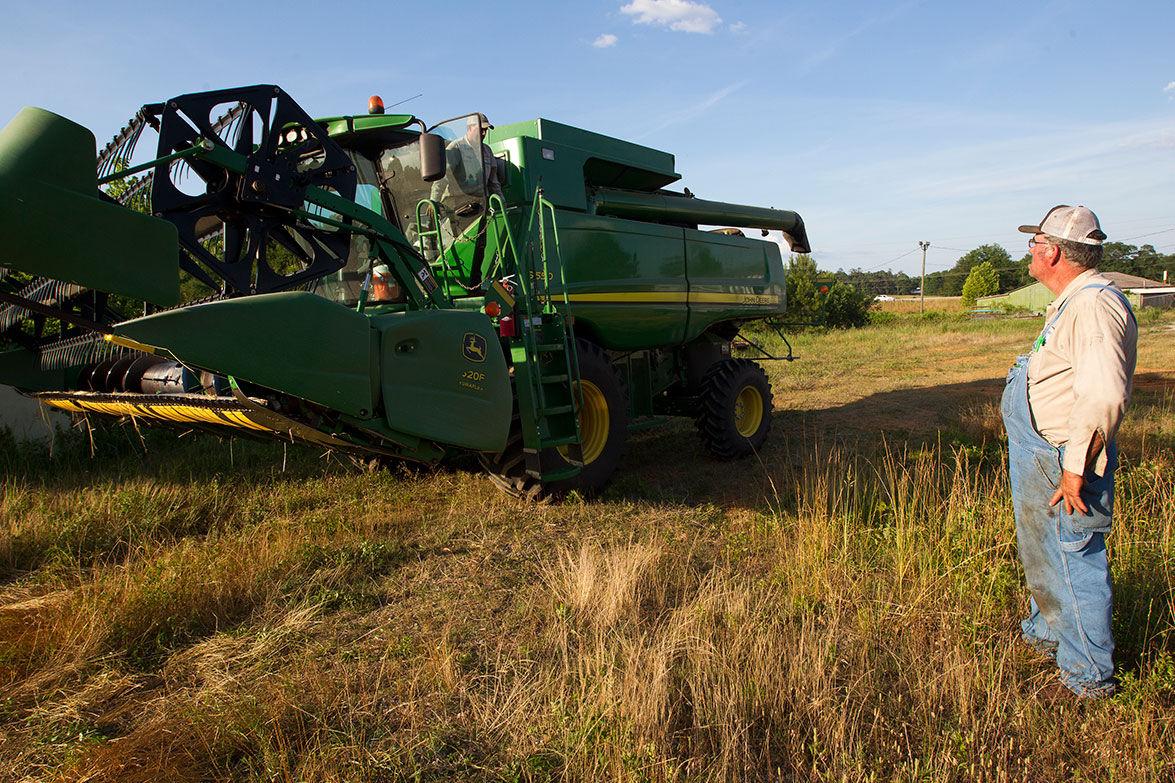 Alabama program will allow testing of industrial hemp | State ...