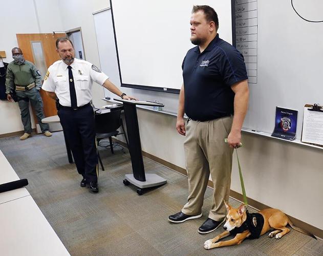 Photos: Jack the APD Public Relations Dog, Badge #149 | News ...