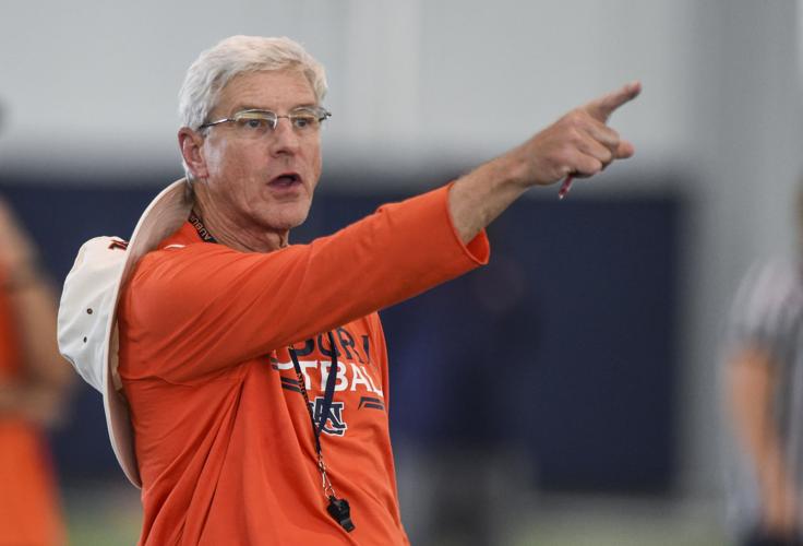 Auburn football: Johnson out as defensive coordinator | Sports ...