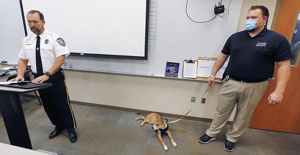 Photos: Jack the APD Public Relations Dog, Badge #149 | News ...