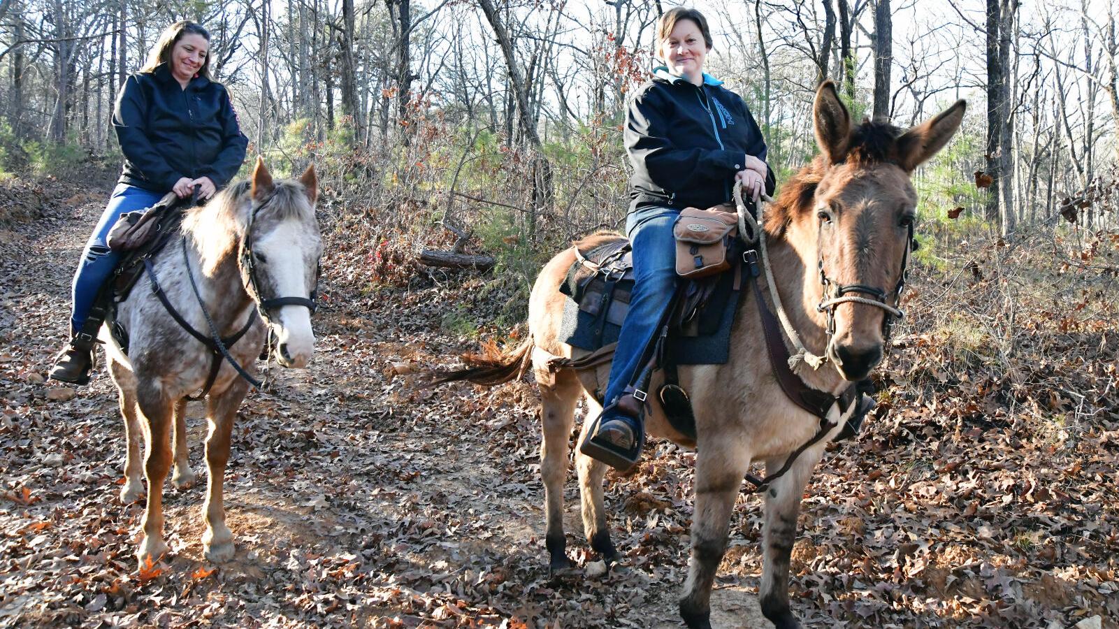Camp McClellan Horse Trails Looks To The Future | Anniston ...