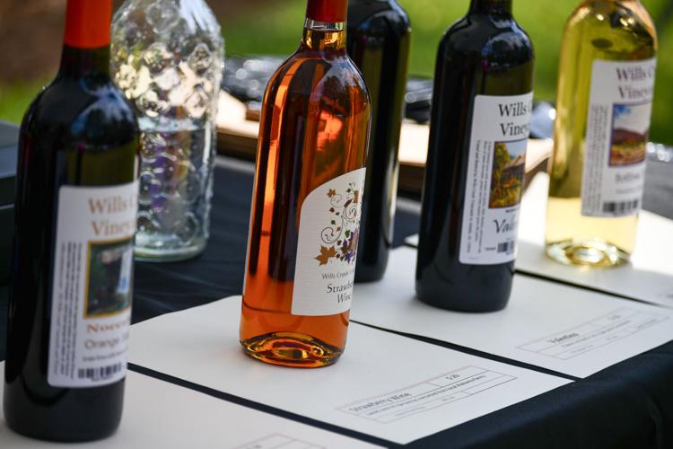 Noccalula Falls hosts artists, wine enthusiasts with combined events ...