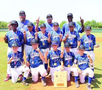 Childersburg 10U baseball all-stars win Cal Ripken state championship ...