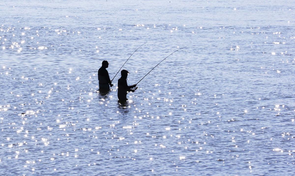 New fish advisory warns of hidden risks in Alabama catches | Anniston ...