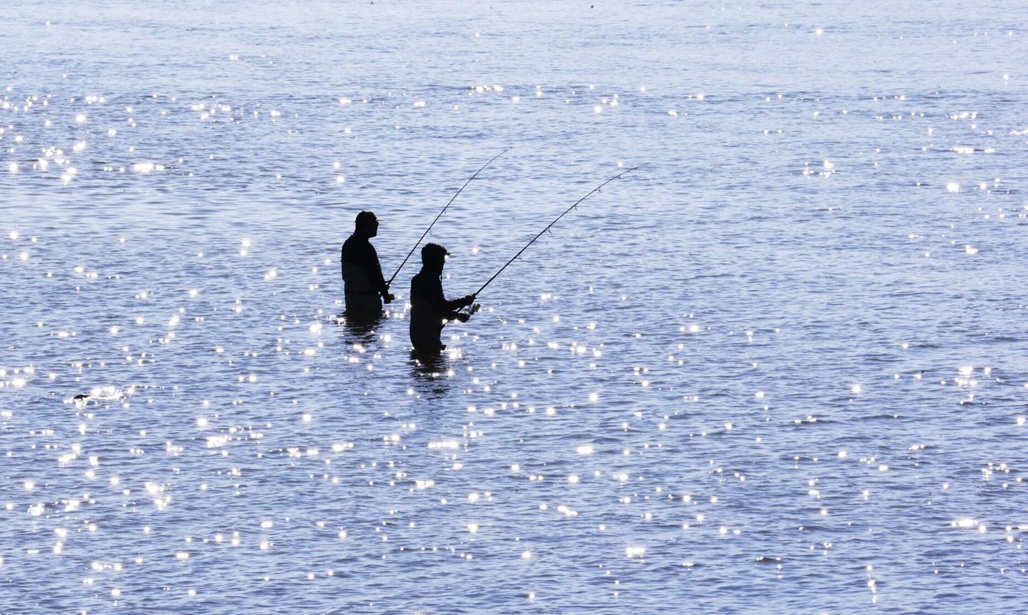 New fish advisory warns of hidden risks in Alabama catches | Anniston ...