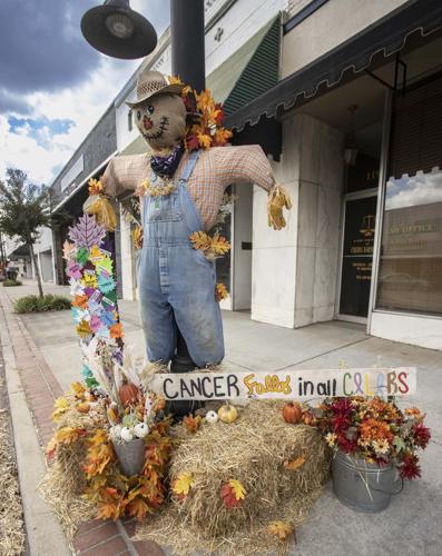 Photos: Sylacauga Scarecrow Decorating Contest | Slideshows ...
