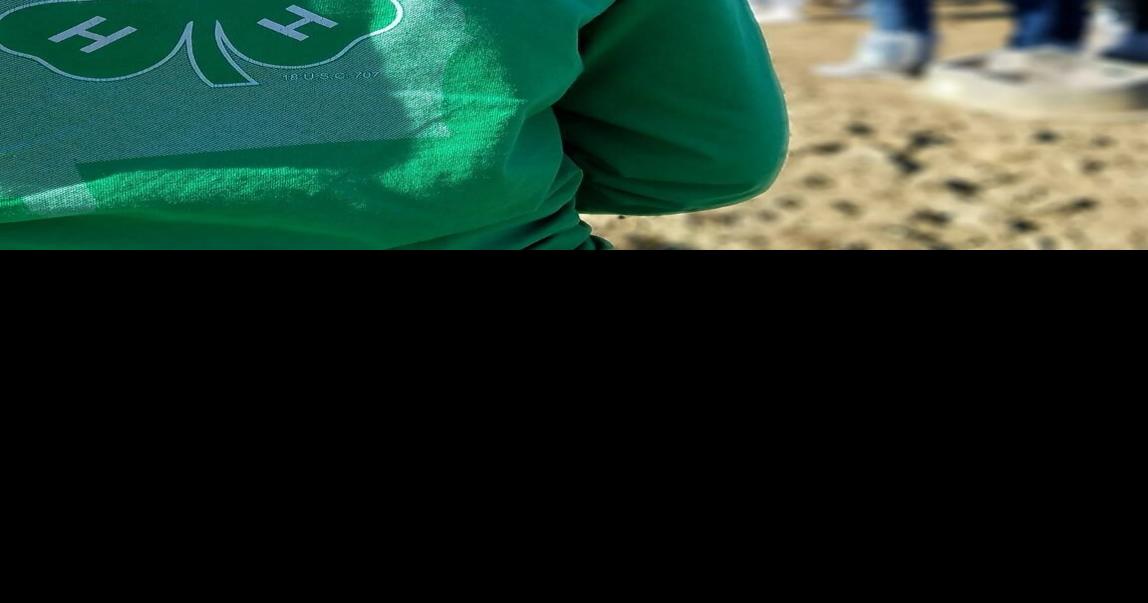 Extension News: 2020 farm-city poster and essay contest winners ...