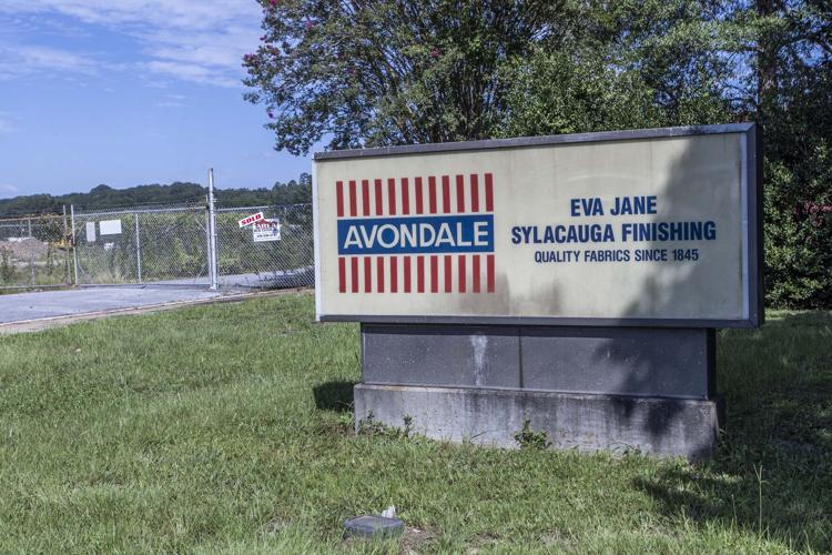 Property purchase another step toward innovative business project ...