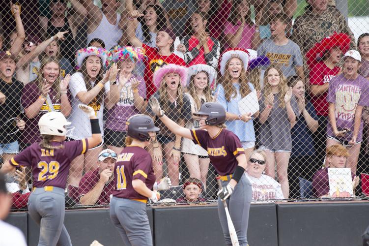 Photos: Spring Garden ends their season at State Tournament ...