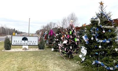 Voting begins in fourth annual Christmas Tree Walk | News | apg-wi.com