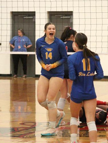 Volleyball: Rice Lake's Sheplee, Schmidt recognized by Big Rivers ...
