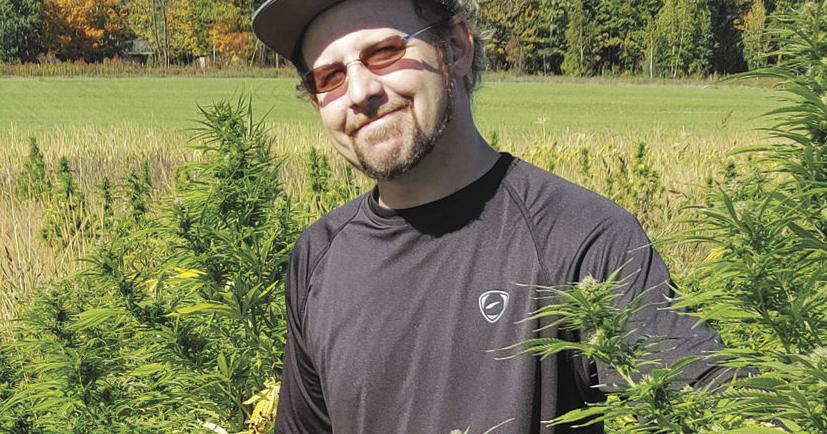 10 varieties of hemp grown in experimental plot | Subscriber | apg-wi.com