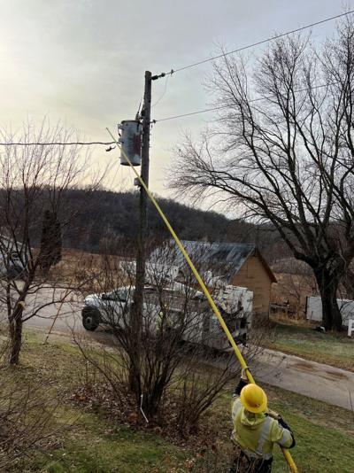 Back Home: Attacked by a tree terrorist | News | apg-wi.com