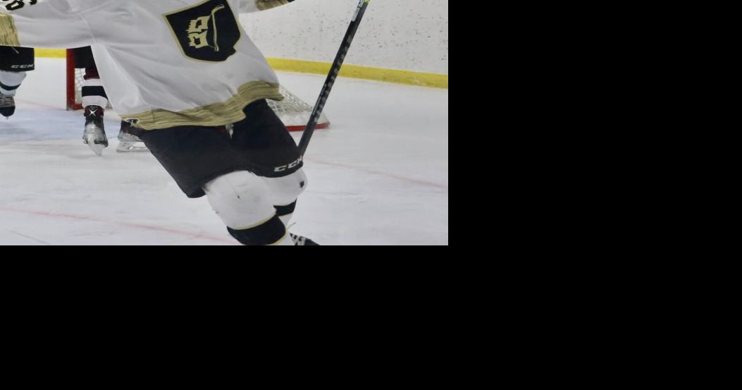 HHS boys top Spooner in hockey playoff | Sawyer County Record | apg-wi.com