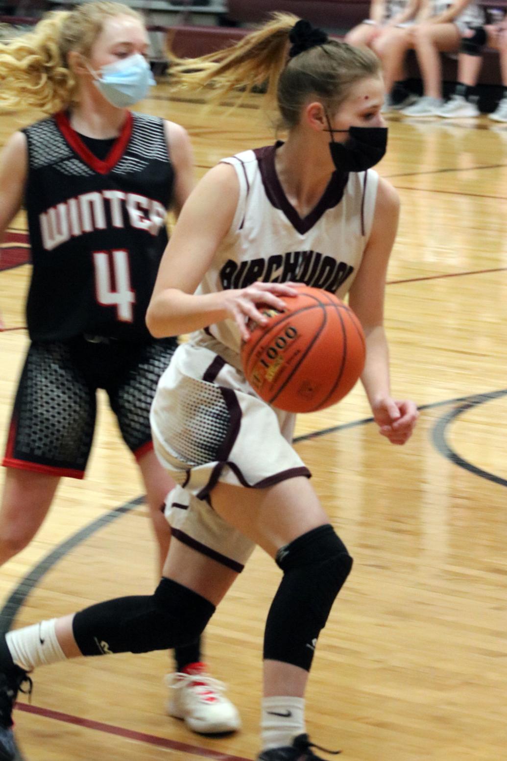 Prep girls basketball: Birchwood's Schultz named to East Lakeland all ...