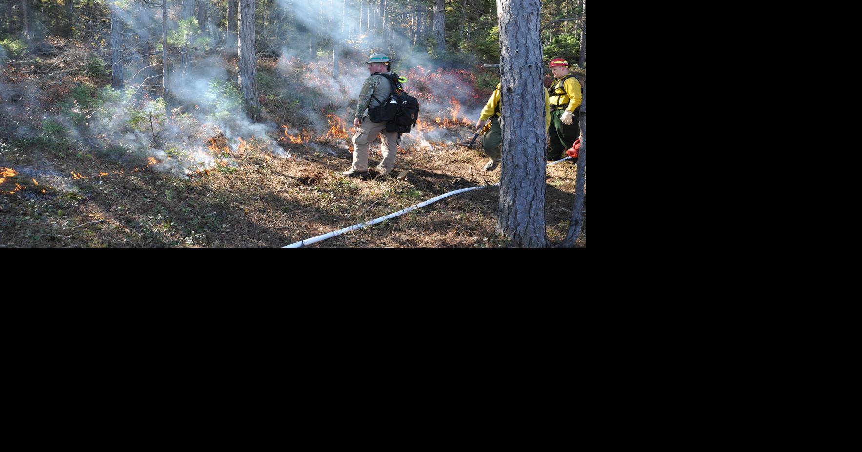 Ojibwe fire tradition a prescription for Apostle Islands habitat ...