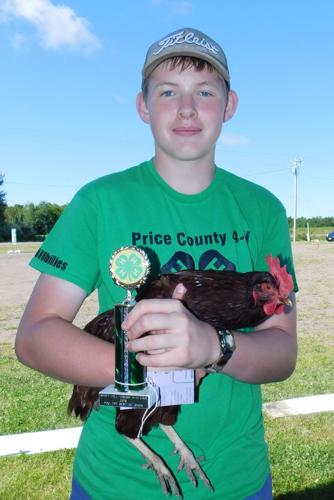 Winners in Spirit-Hill-Ogema 4-H Fair named | Local | apg-wi.com