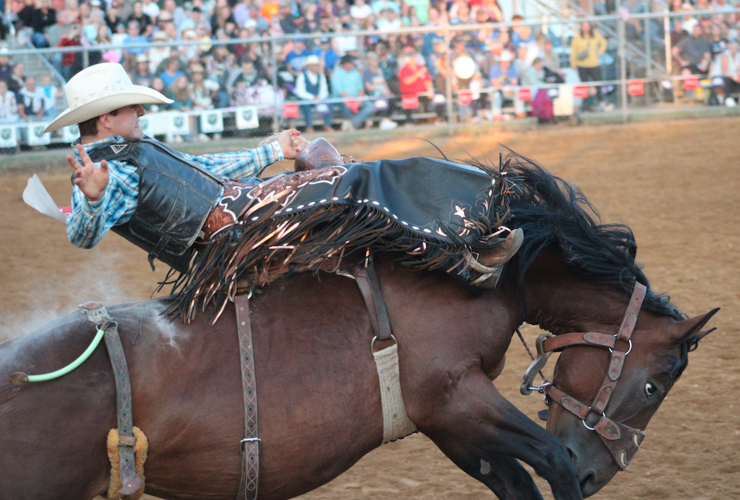 Queen sought for 71st Rodeo | Communities And Youth | apg-wi.com