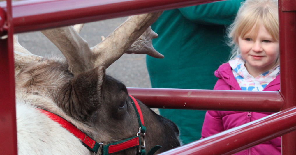 Santa’s reindeer visit area; Christmas Eve flight nears | Local | apg ...