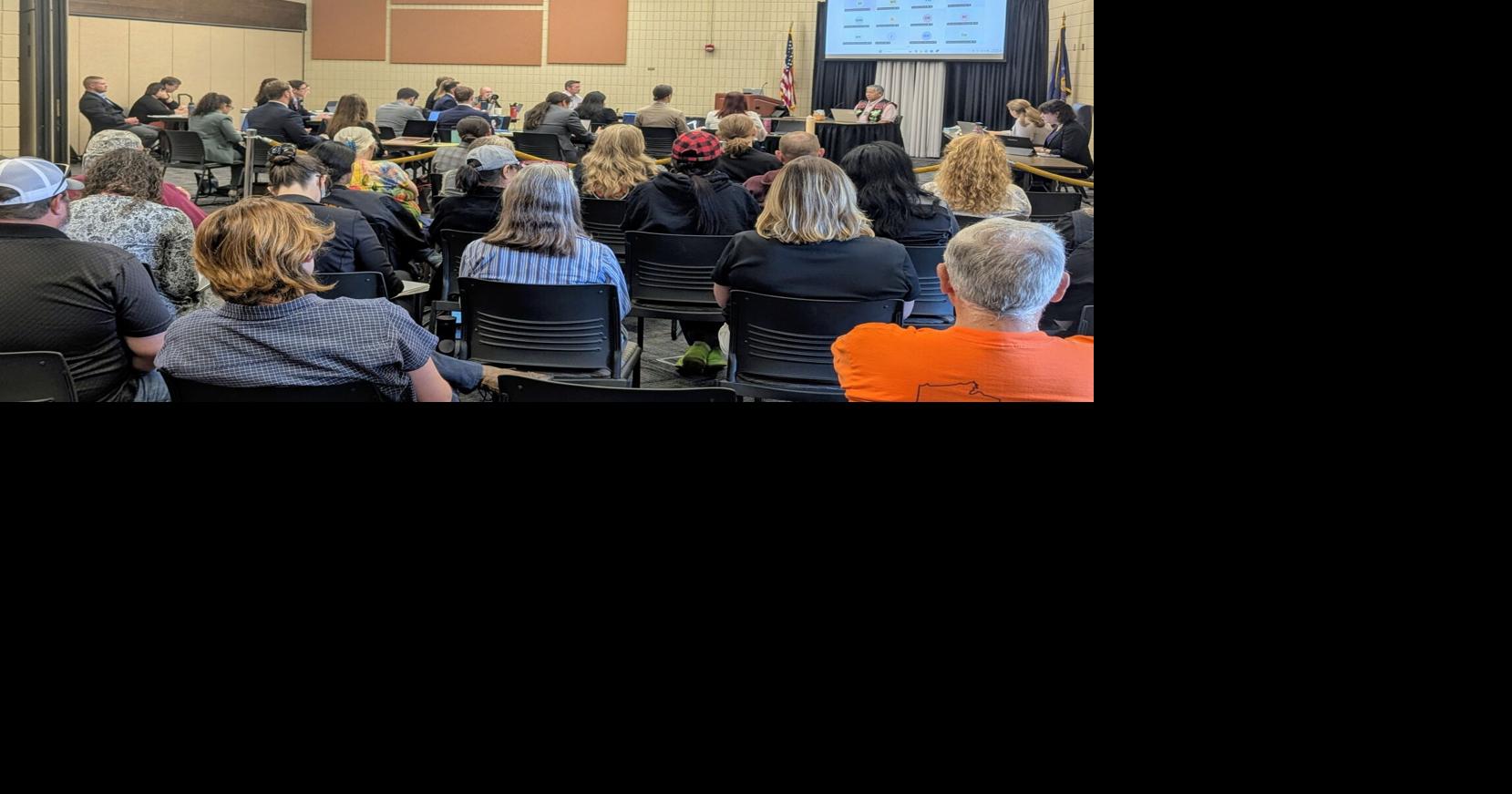 Bad River Tribal chairman, expert witnesses testify during Enbridge ...
