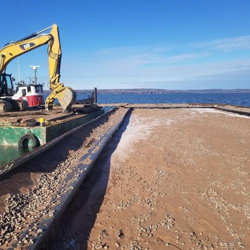 Ashland’s Tern Island contributes to rare bird’s survival | Subscriber ...