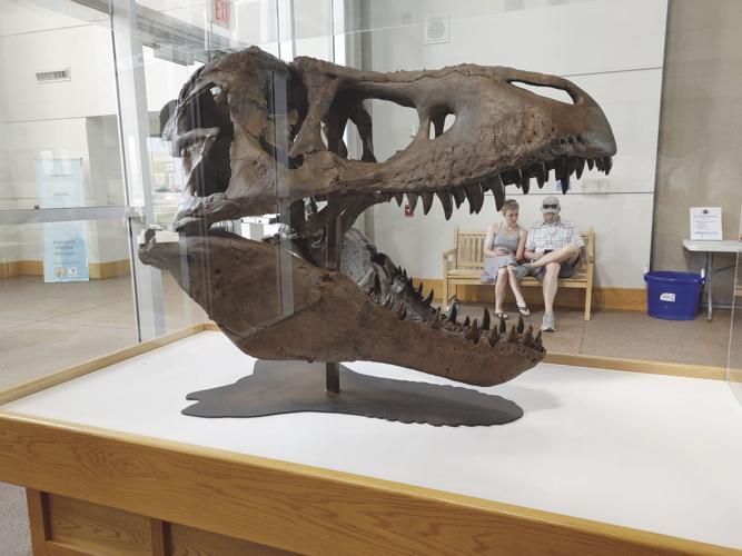 My dinosaur tour: 4 states, 11 museums, one library, lots of open land ...