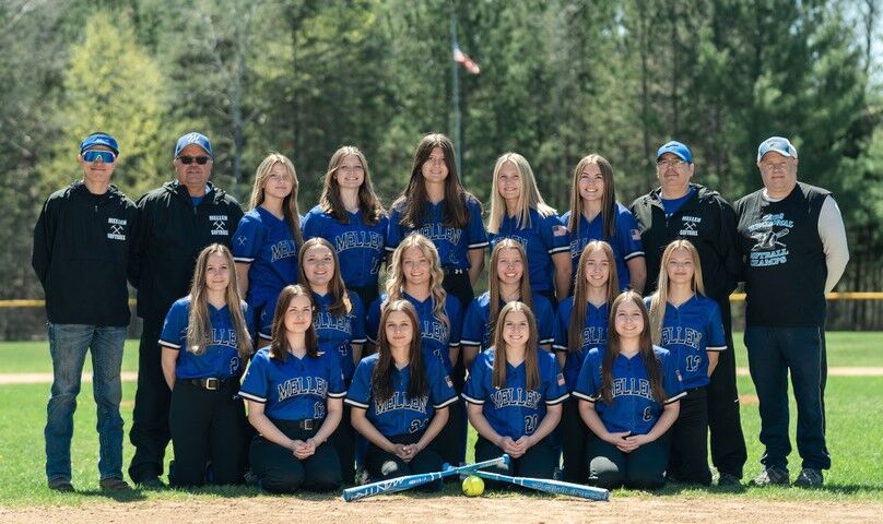 Diggers leave no stone unturned | High School | apg-wi.com