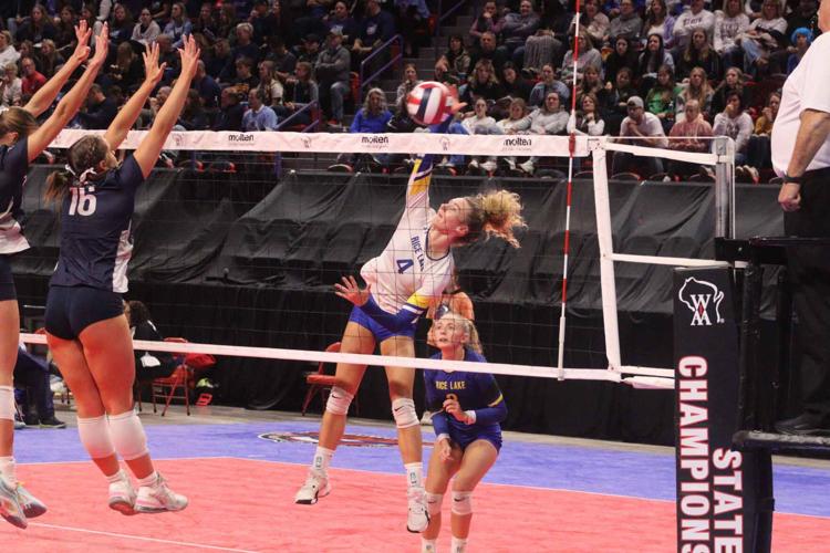 Sheplee named Three-Sport Athlete of the Year by Wisconsin Sports ...