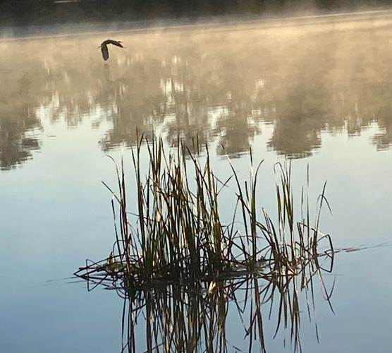 Pretty autumn days | Outdoors | apg-wi.com