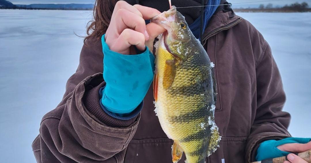 Oh barf, another fish story | Outdoors | apg-wi.com