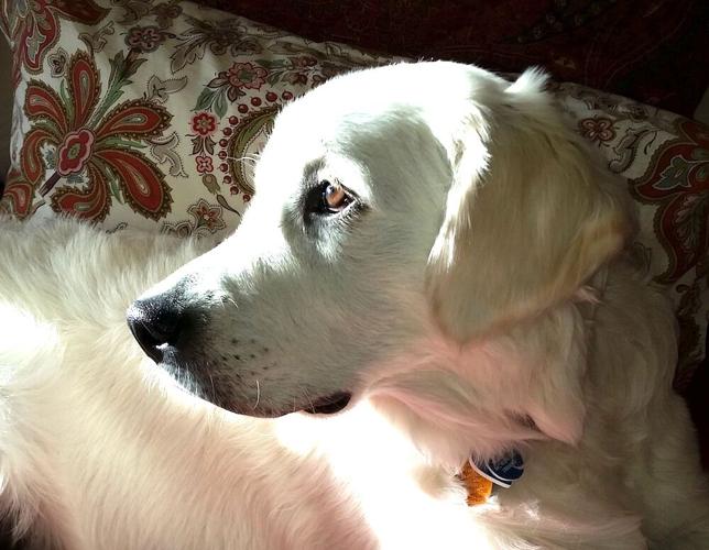 Ink blog: He never knew he was adopted | News | apg-wi.com