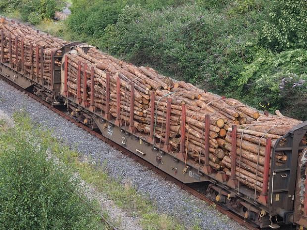 Timber industry supporters seek more train cars to haul wood from ...