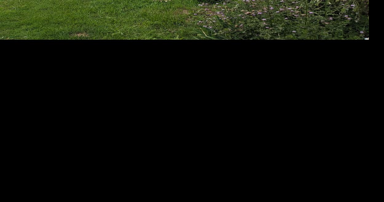 Coffee shop grinds toward new location | Local | apg-wi.com