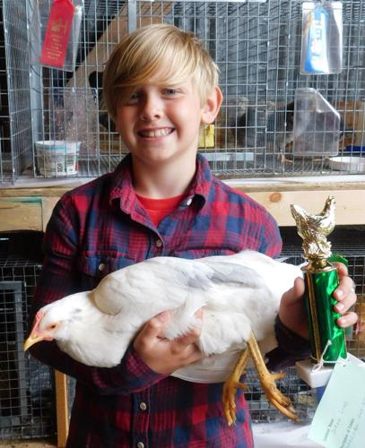 Kids shine at Spirit–Hill–Ogema 4-H Fair | Price County Review | apg-wi.com