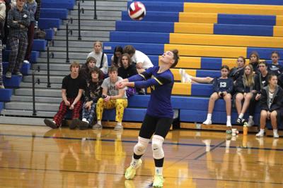 Volleyball: Rice Lake shows fight in straight set loss to state-ranked ...