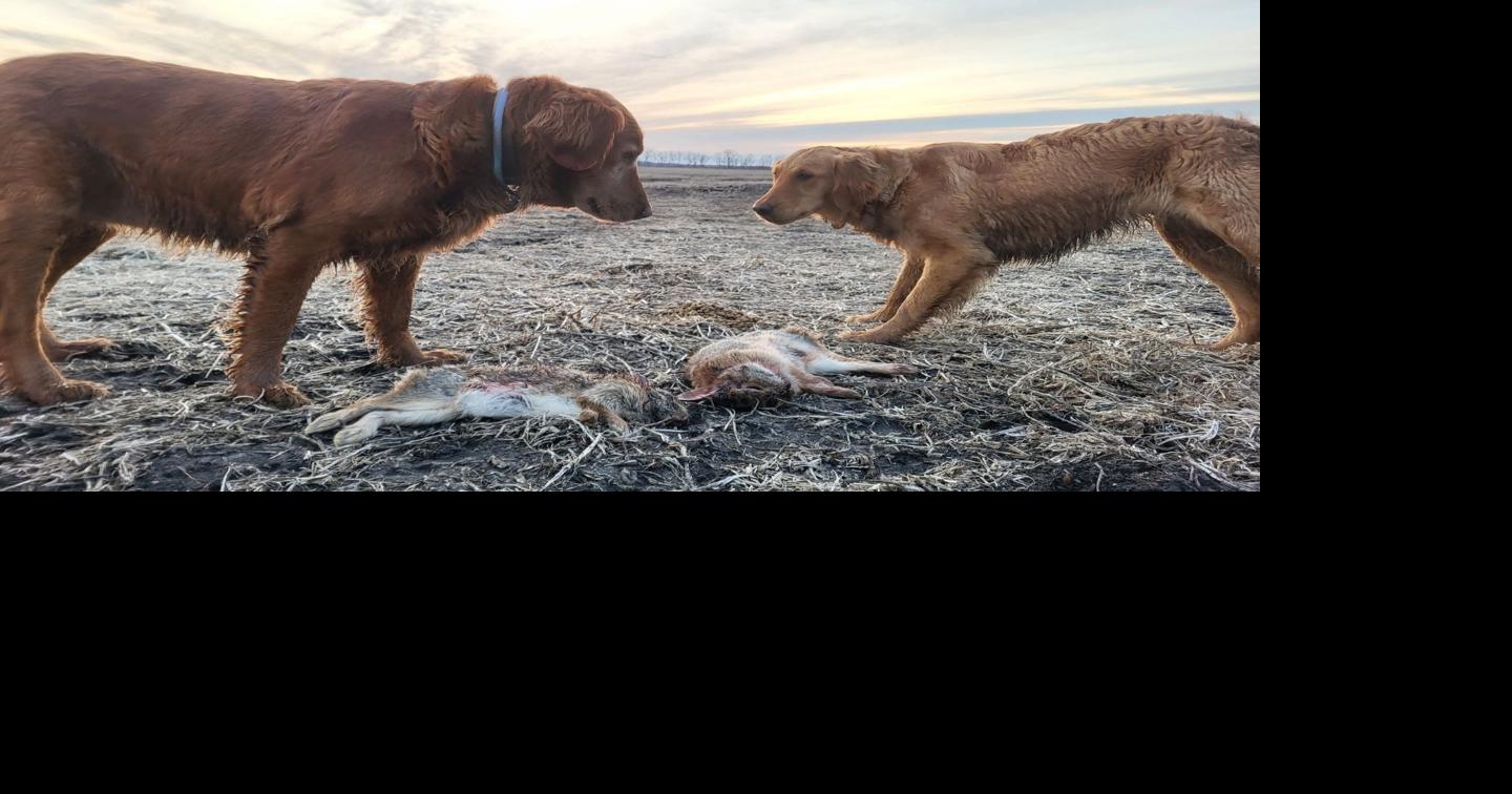 An Outdoorsman's Journal: A New Frontier | Price County Review | apg-wi.com