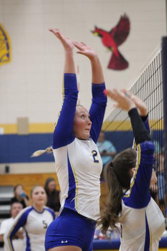 Shell Lake volleyball team has three on All-Conference | High School ...