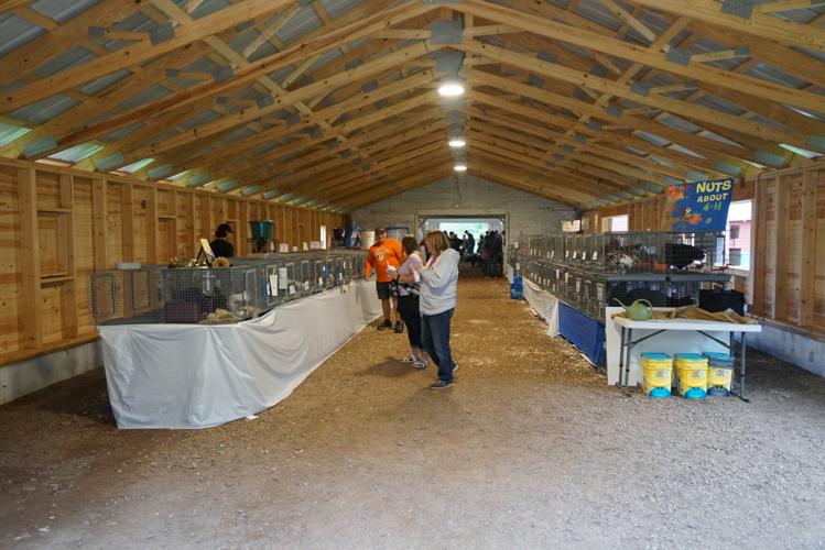 PRICE COUNTY FAIR | Price County Review | apg-wi.com