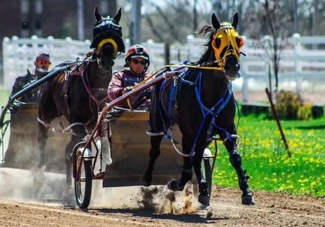 Harness racing will get county fair off to a fast start | Free | apg-wi.com