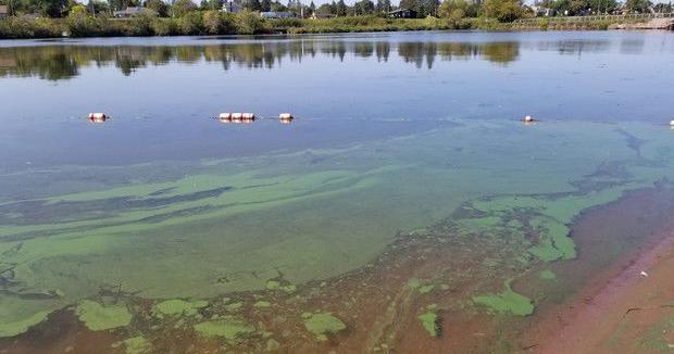 Be aware of blue-green algae | News | apg-wi.com